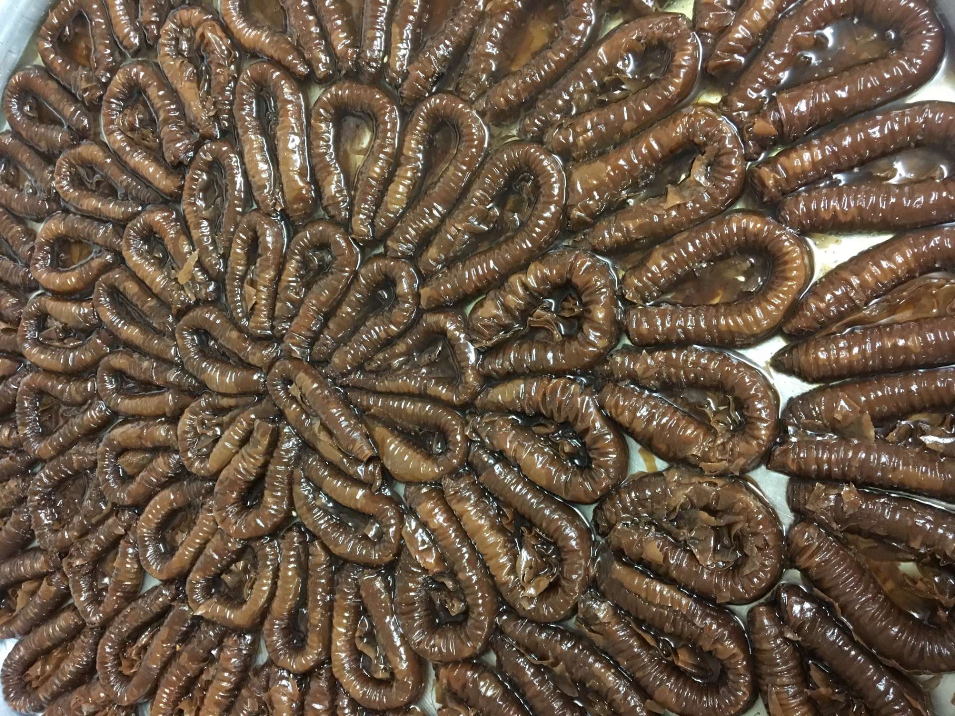 Nepo Kitchen Consulting 2018 revisited